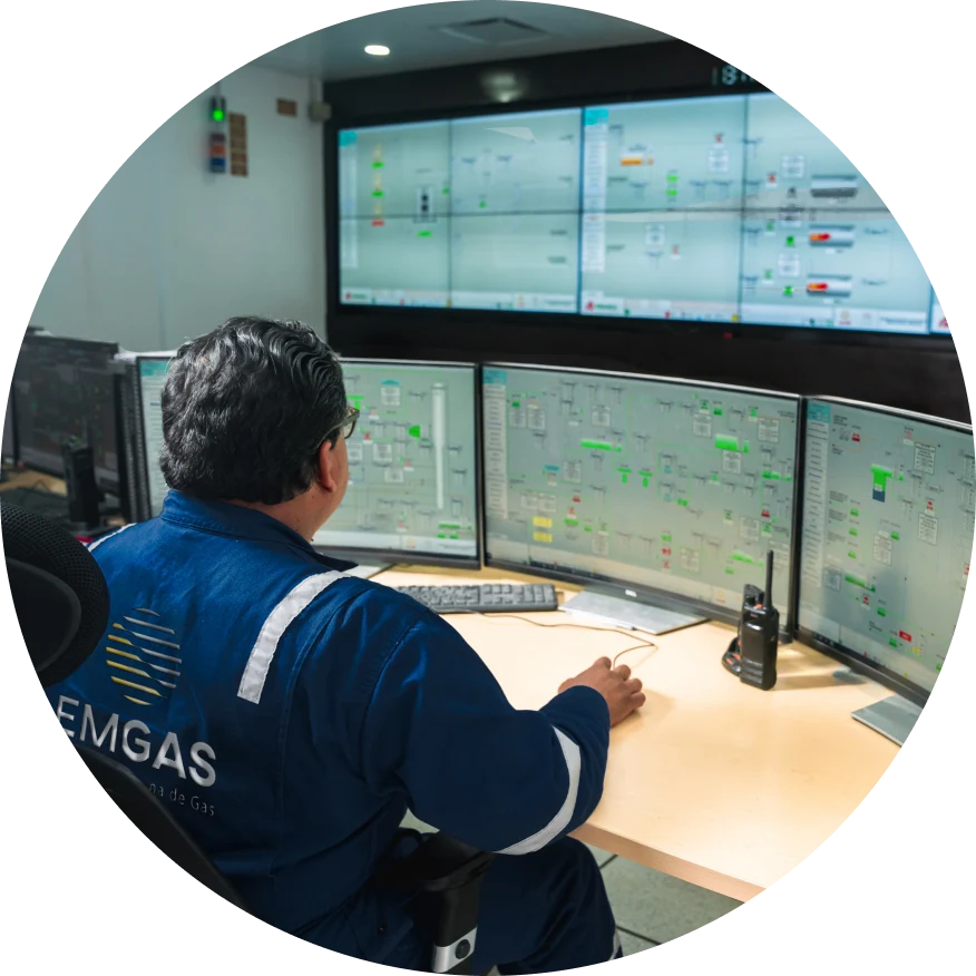 Sistemas de Seguridad EMGAS